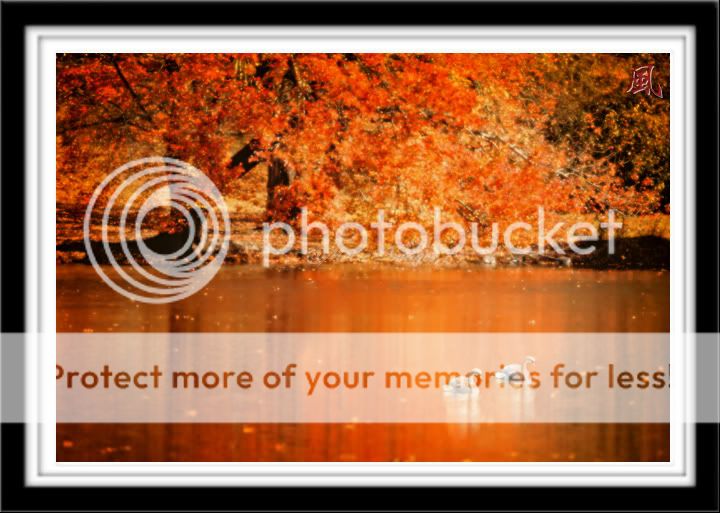 秋之韵_晨风_新浪博客